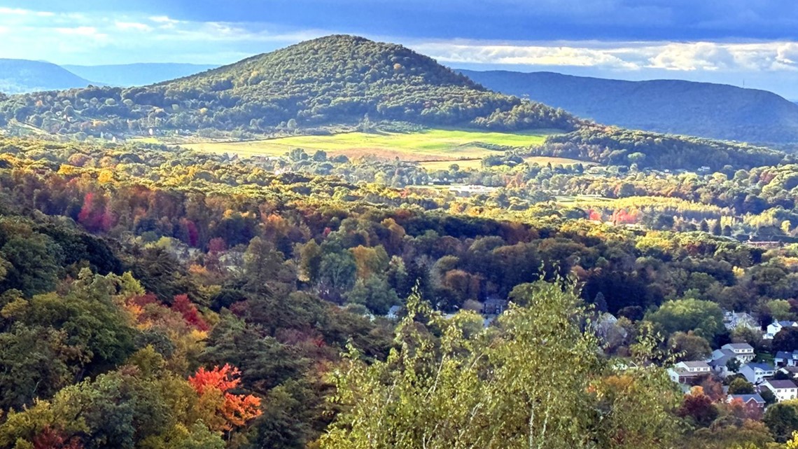 PhotoLink Library: Mike Stevens doing a double-take | wnep.com