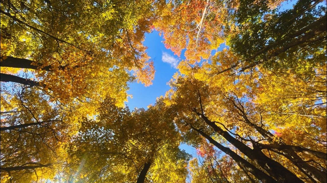 PhotoLink Library — Golden autumn opportunities | wnep.com