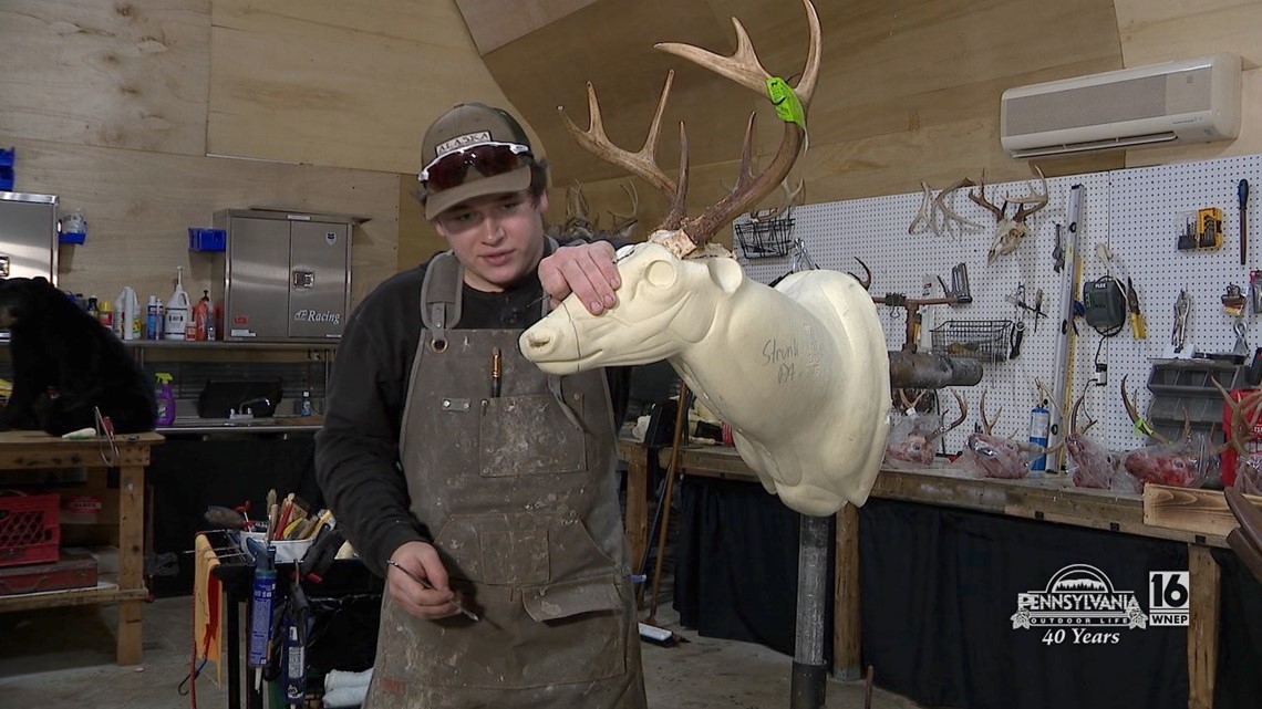 Argot's Taxidermy | wnep.com