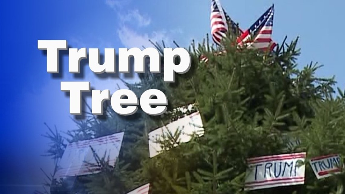 It’s Not a Chrismas Tree, It’s a Donald Trump Tree Standing In Luzerne ...