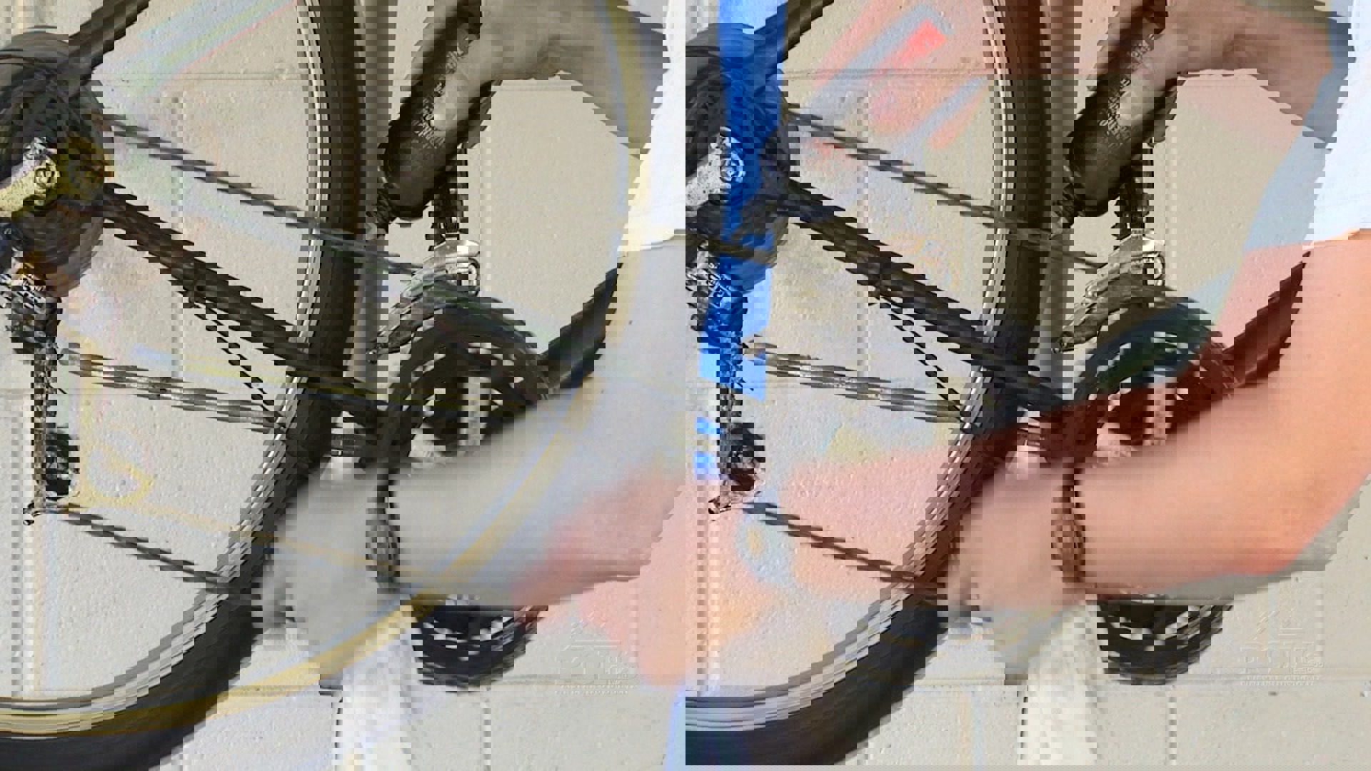 PA Outdoor Life | wnep.com