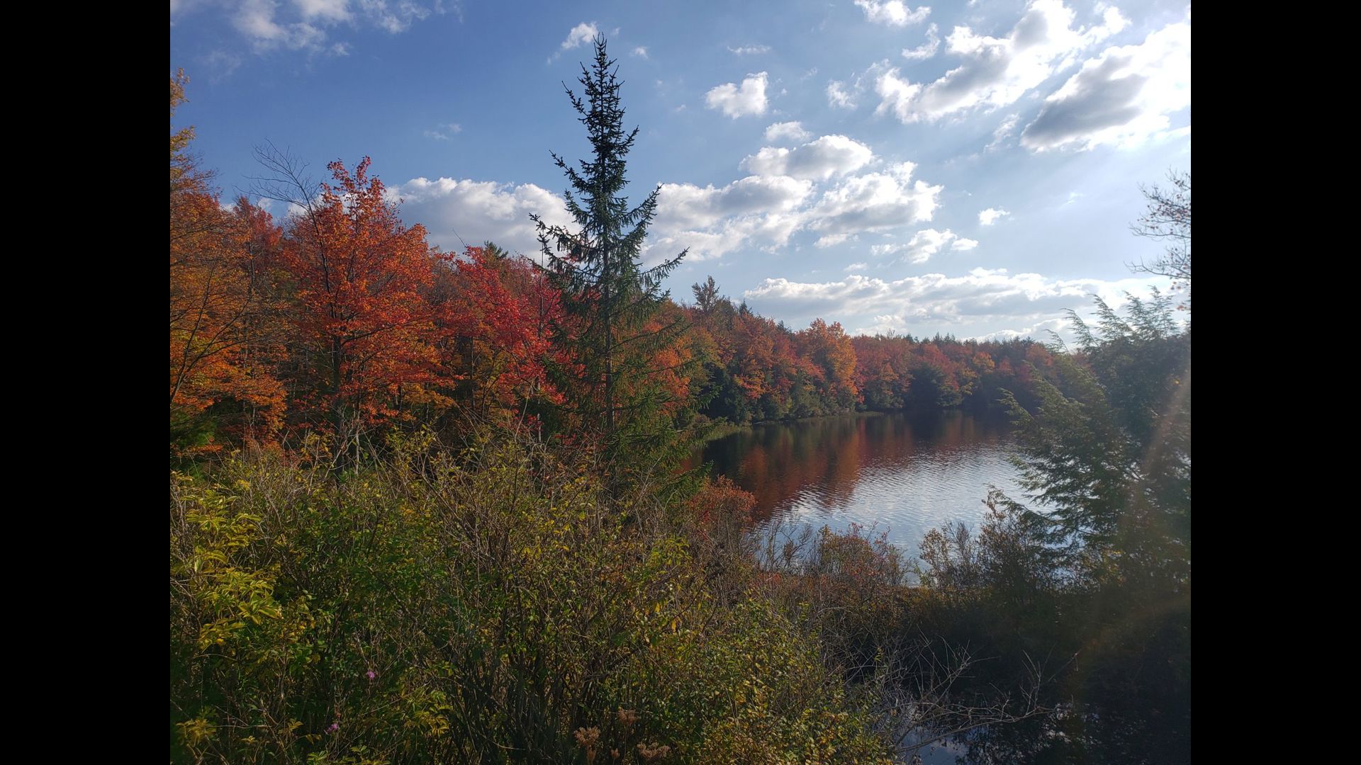 Fall Foliage Map | When and where to see the best fall colors | wnep.com