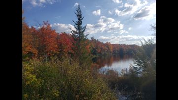 Fall Foliage Map | When and where to see the best fall colors | wnep.com