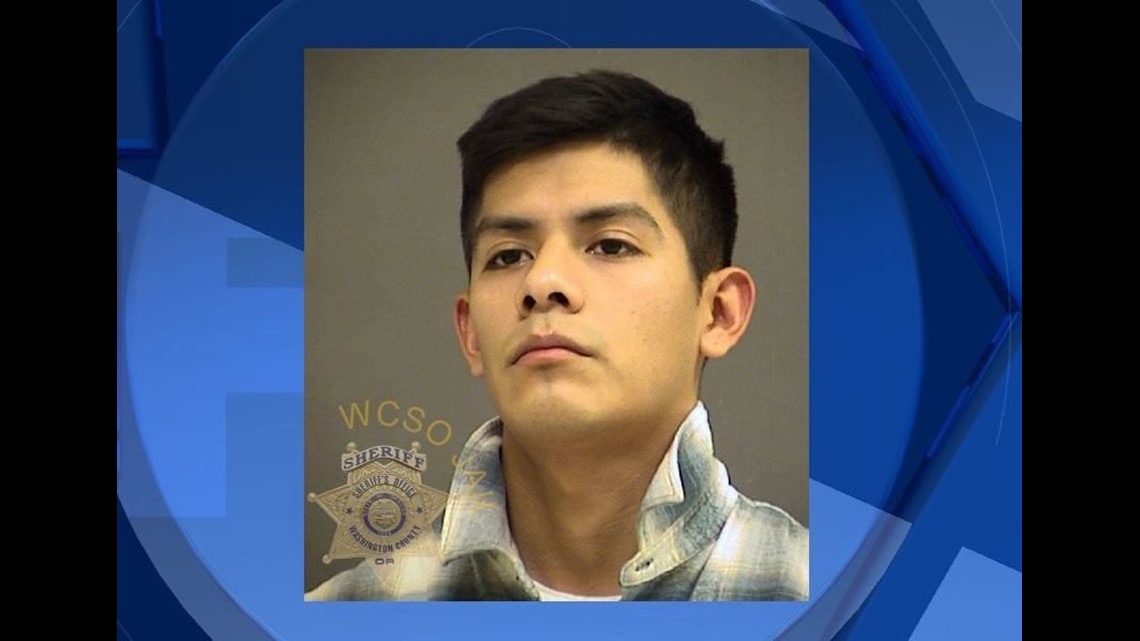 Man Posed as High School Student Online, Then Sexually Assaulted Children | wnep.com