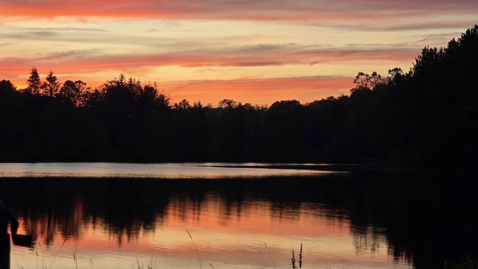 Summer's soft glow | PhotoLink Library | wnep.com