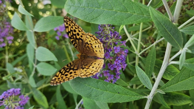 WNEP.com | News, Weather & Sports from WNEP-TV — Proud to Serve ...