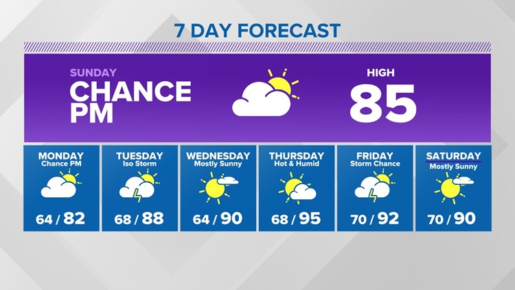 Meet the Team | wnep.com