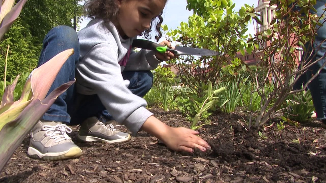 Scranton blooms: Students bring color to local park through planting ...