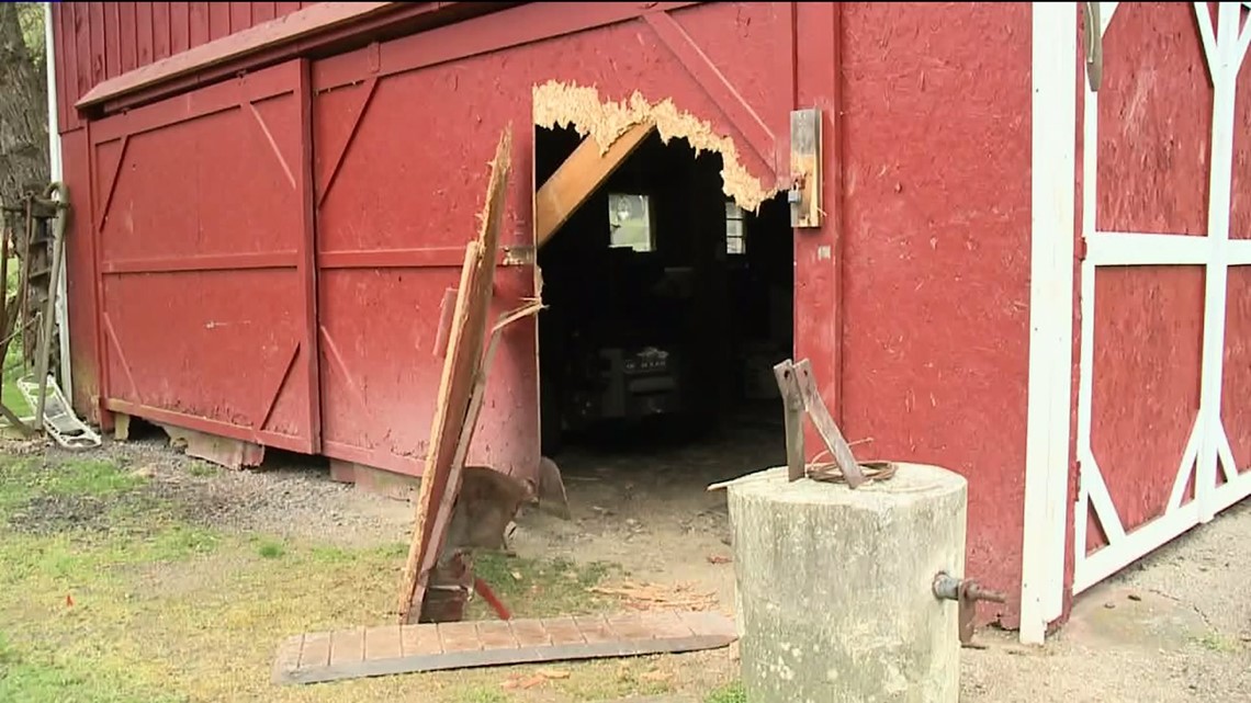 Man Charged with Trying to Poison Bear | wnep.com
