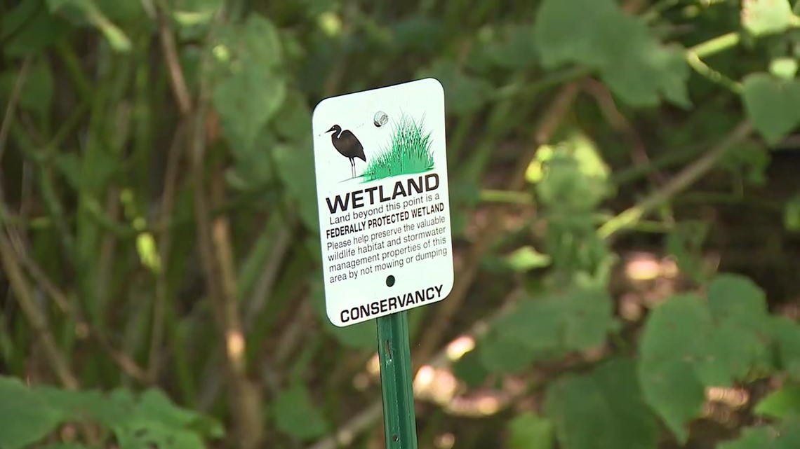 Wetlands project project taking shape in Sunbury | wnep.com