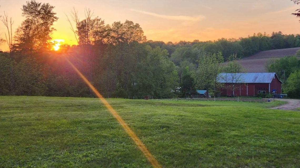 PhotoLink Library: Spring set in its ways | wnep.com