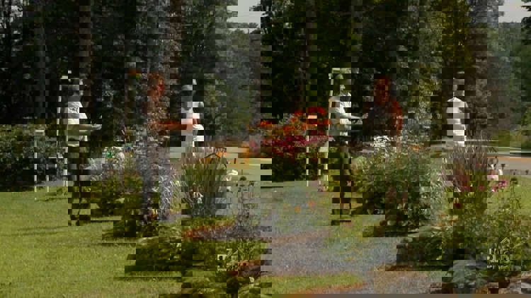 Home and Backyard | wnep.com