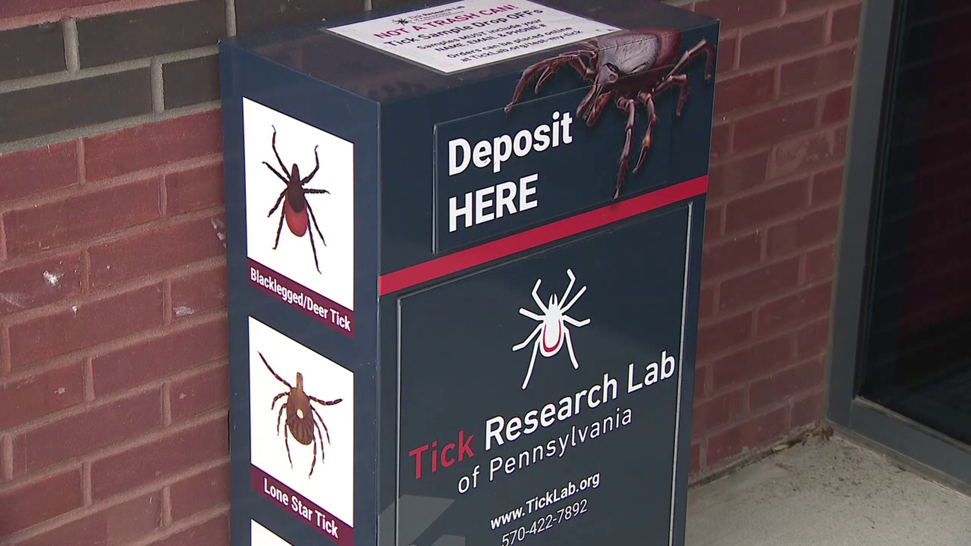 Pennsylvania research lab busy as more ticks spotted with warmer temps ...