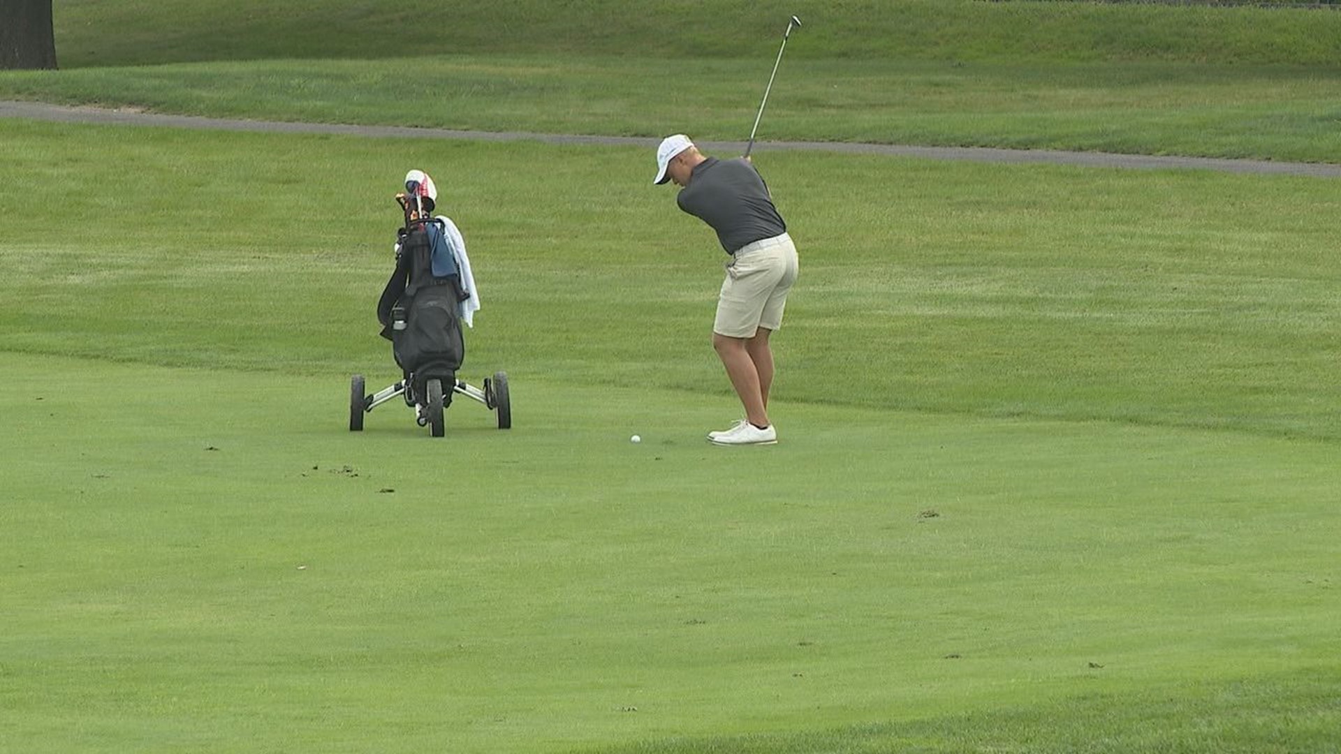 Talented Golfers From The WVC Keep District II At The Top In State Golf ...