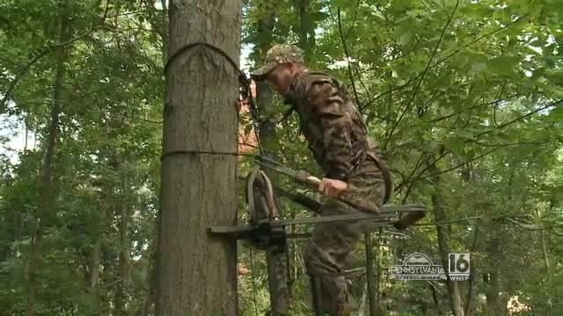 Treestand Safety Tips #2 | wnep.com