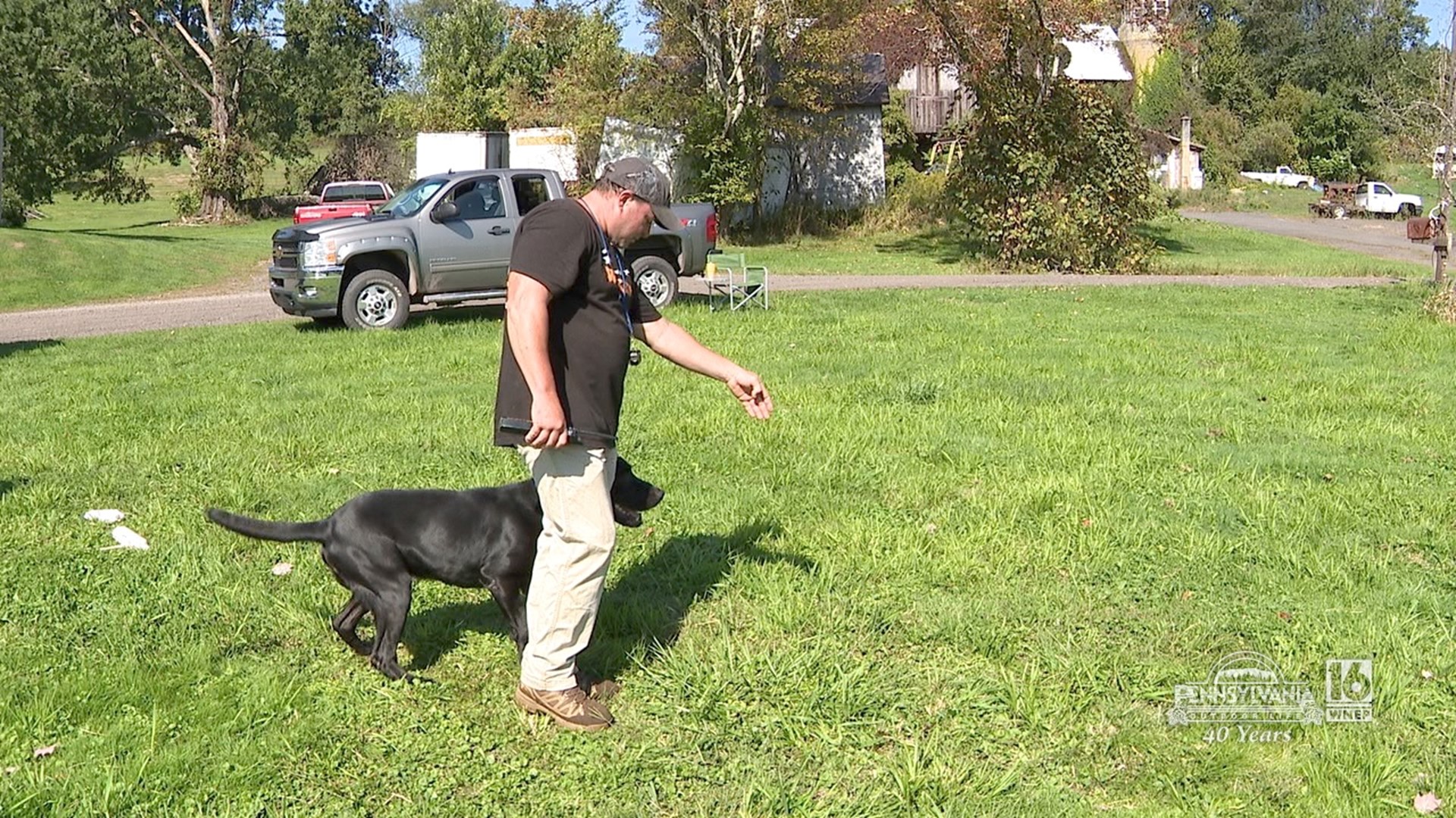 Dog Training with Saabi-Sil Retrievers | wnep.com