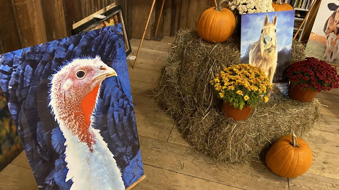 ThanksLiving fundraiser for animals in Dalton | wnep.com