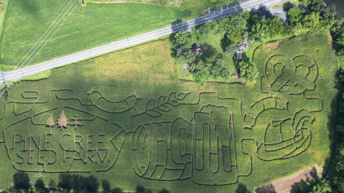 Clinton County corn maze promises a challenge | wnep.com