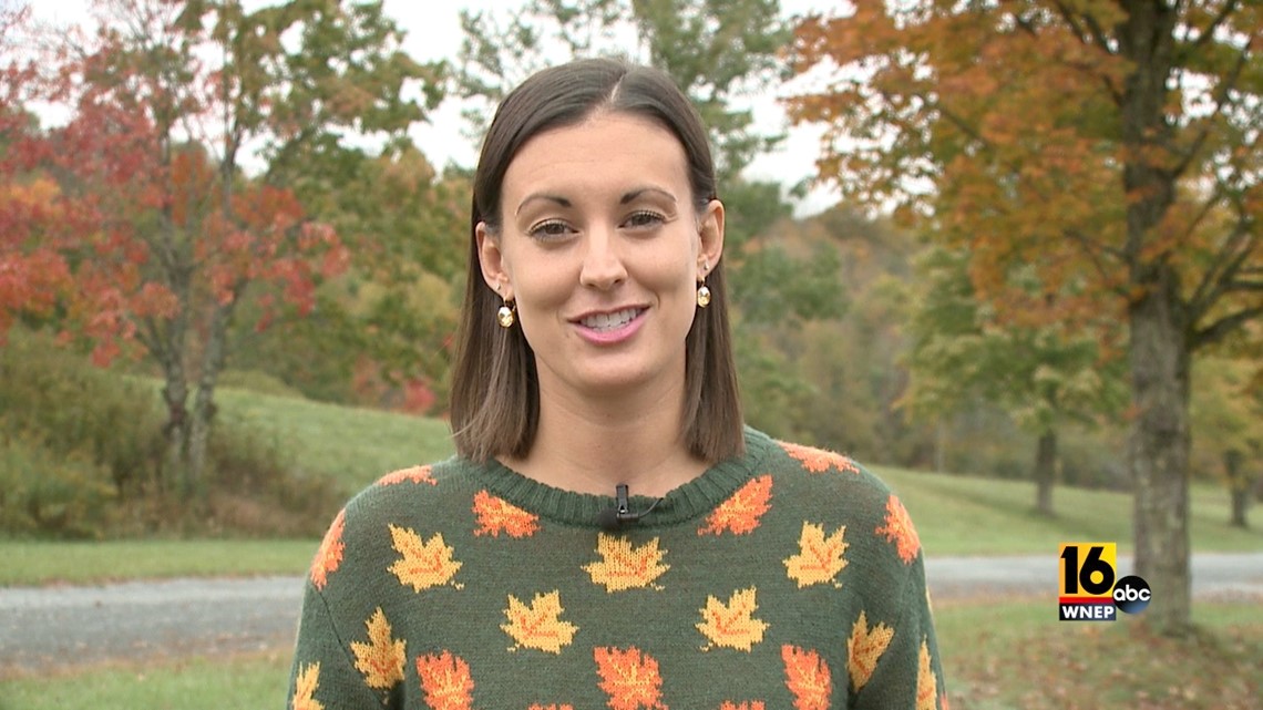 Ally Gallo brings the fall season to full color and light. | wnep.com
