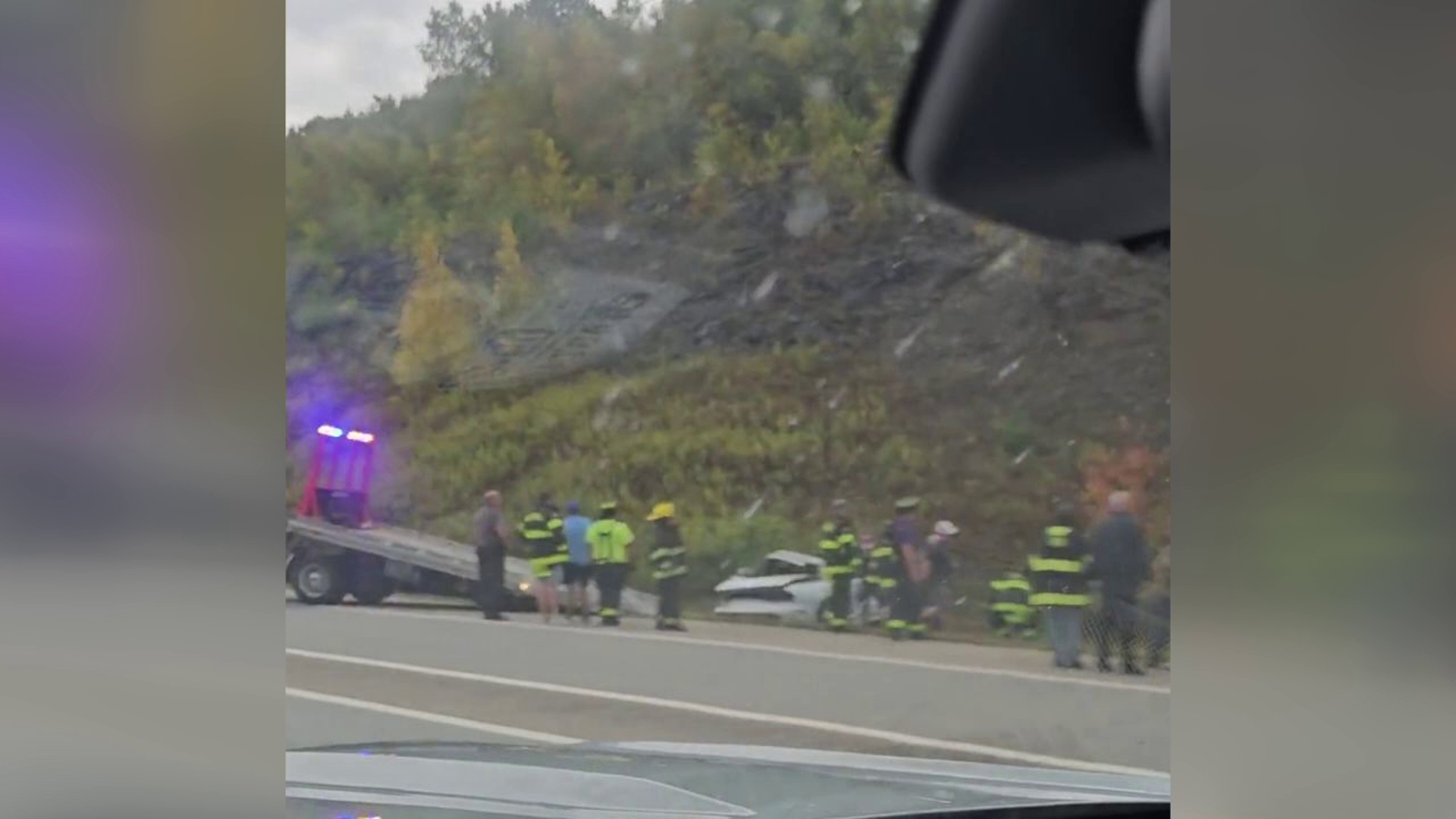 Carbondale man dies after crash; dog traveling with driver reported ...