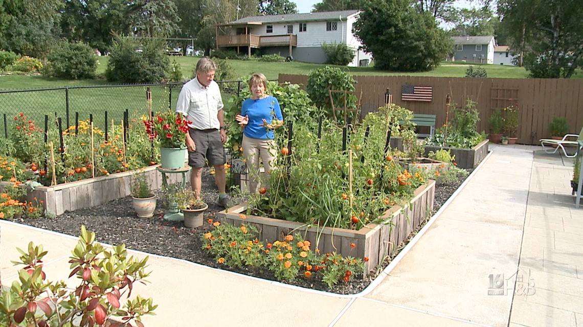 Transforming An Old In Ground Pool Into a Garden Oasis | wnep.com