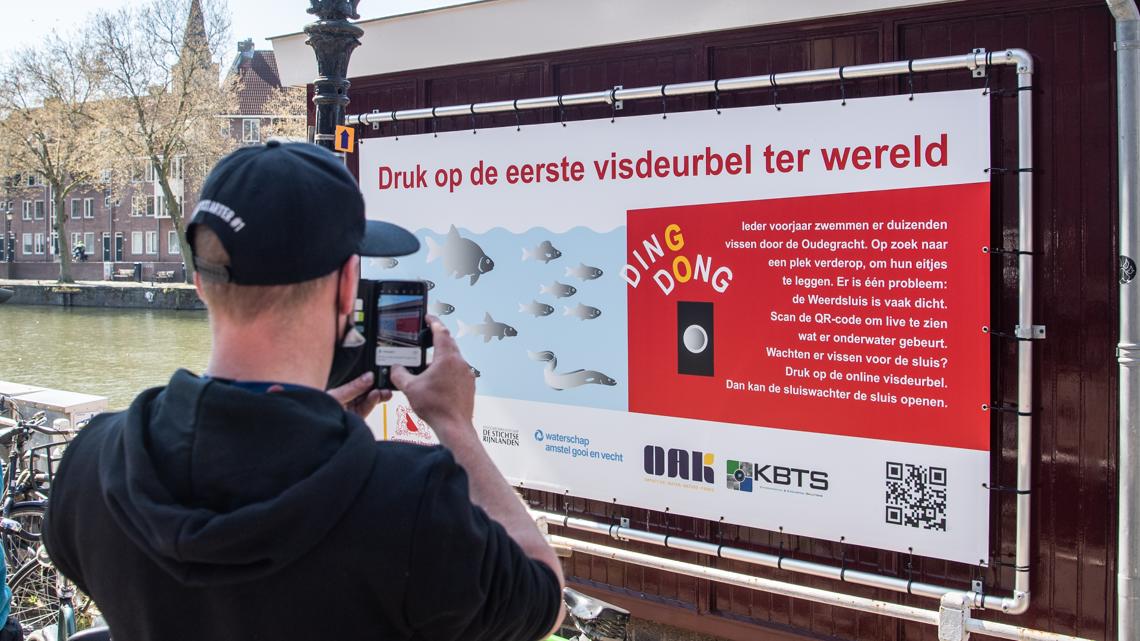 Online Fish Doorbell returns for fifth year | wnep.com