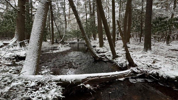 WNEP.com | News, Weather & Sports from WNEP-TV — Proud to Serve ...