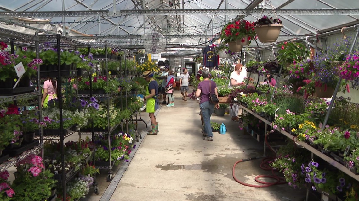 Greenhouse Project holds a Mother's Day fundraising plant sale | wnep.com