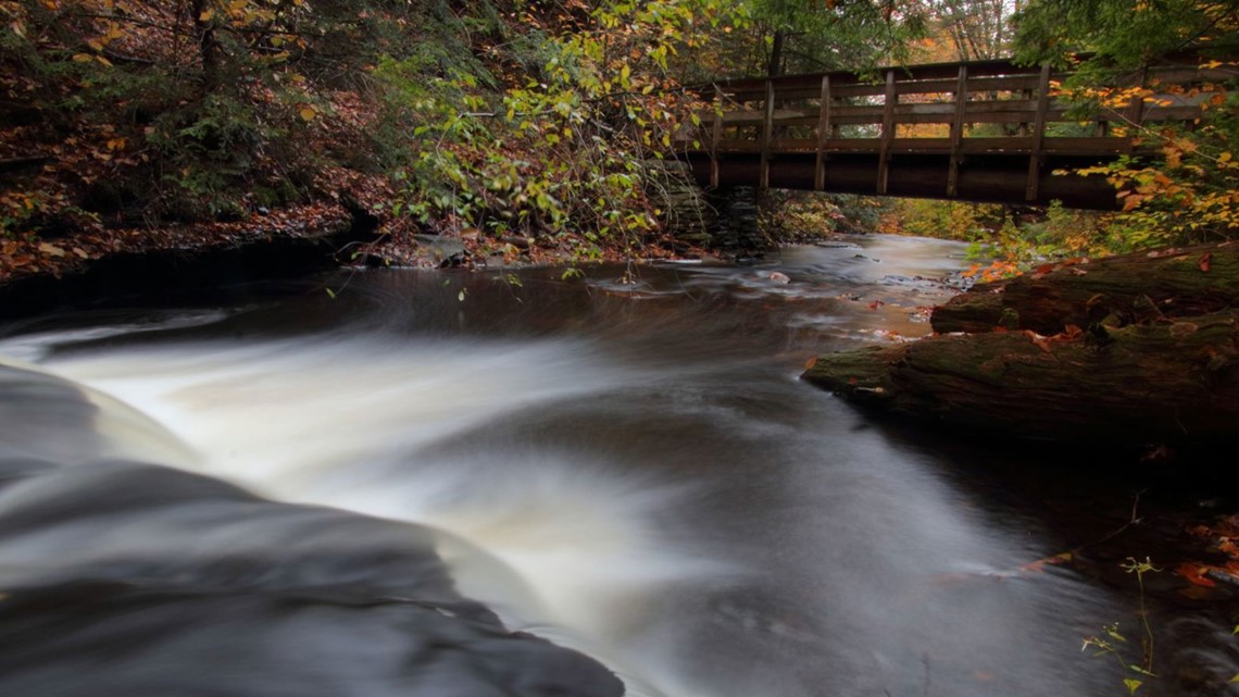 PhotoLink Library: Must-see moments with Mike Stevens | wnep.com