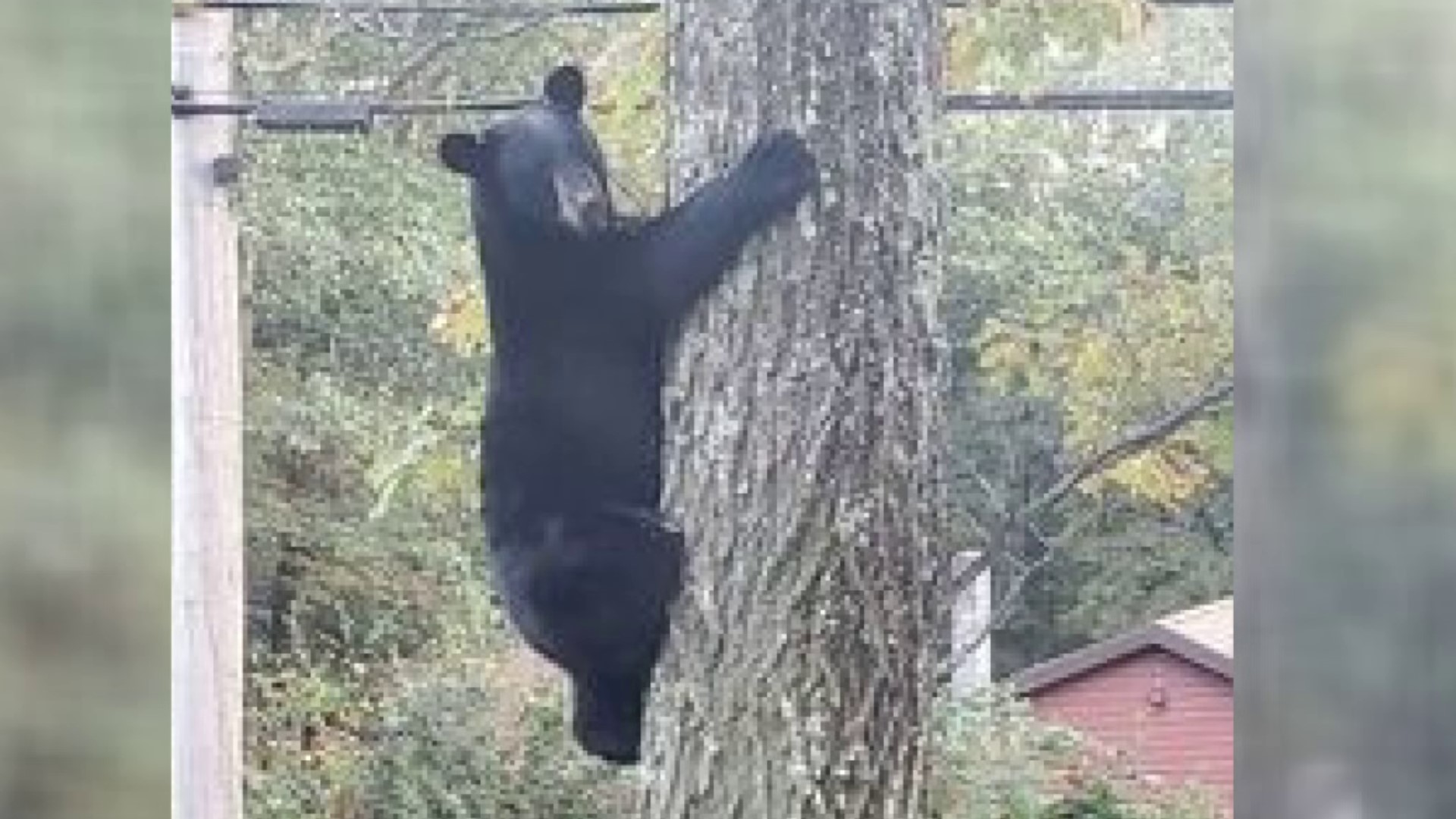 Highlighting your wildlife photos and videos | Wildlife Wednesday ...