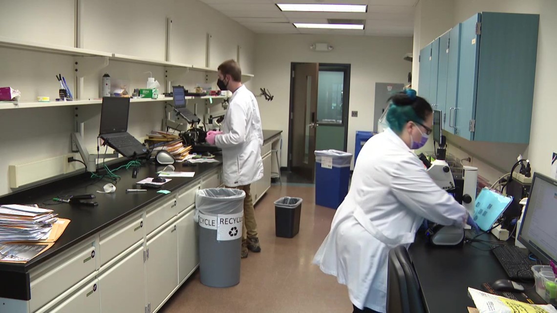 ESU Tick Research Lab monitors new tick threat | wnep.com