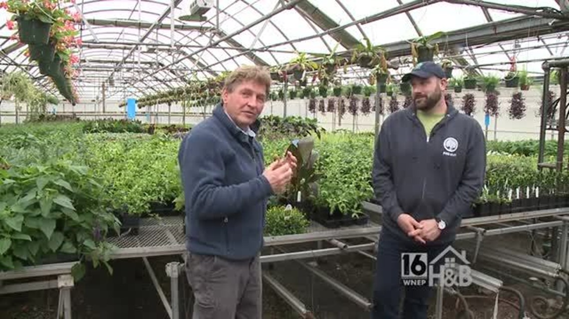PHS Meadowbrook Farm Greenhouse | wnep.com