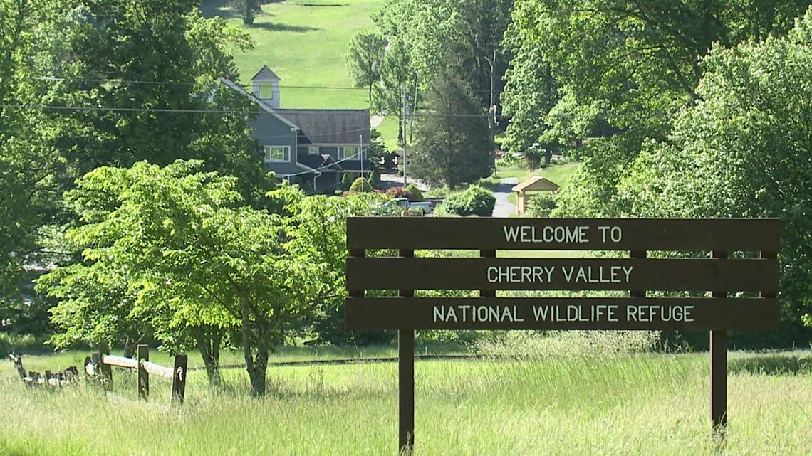 Power To Save Special June 2017: Cherry Valley | wnep.com