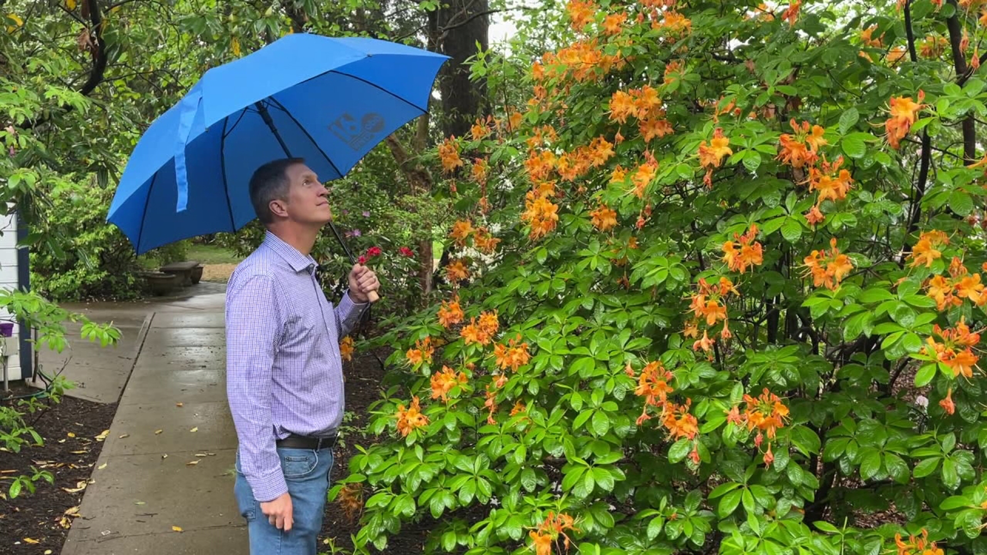 Keithan's Bluebird Gardens | On The Pennsylvania Road | wnep.com