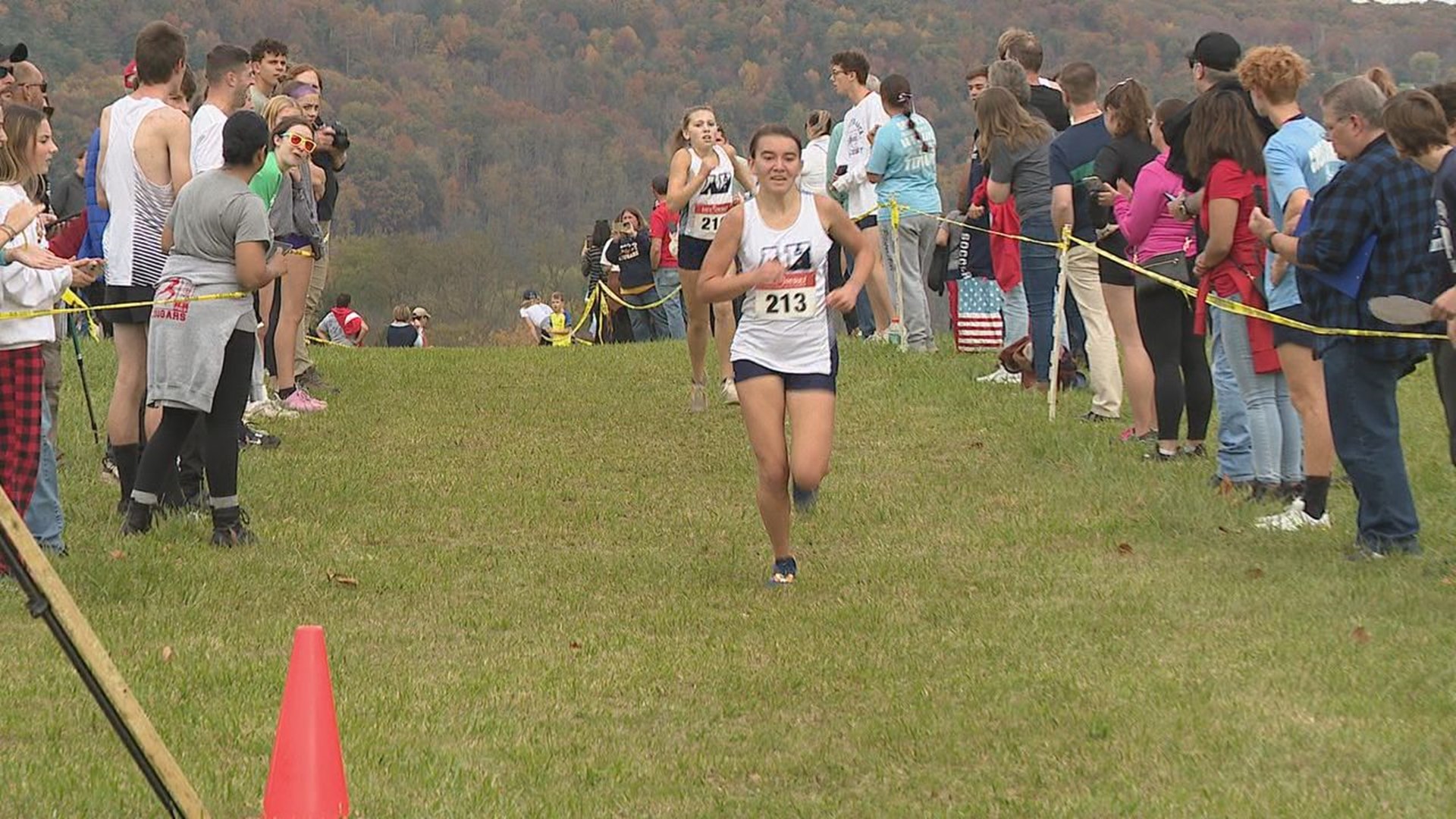 6 Winners At The District II Cross Country Championships | wnep.com