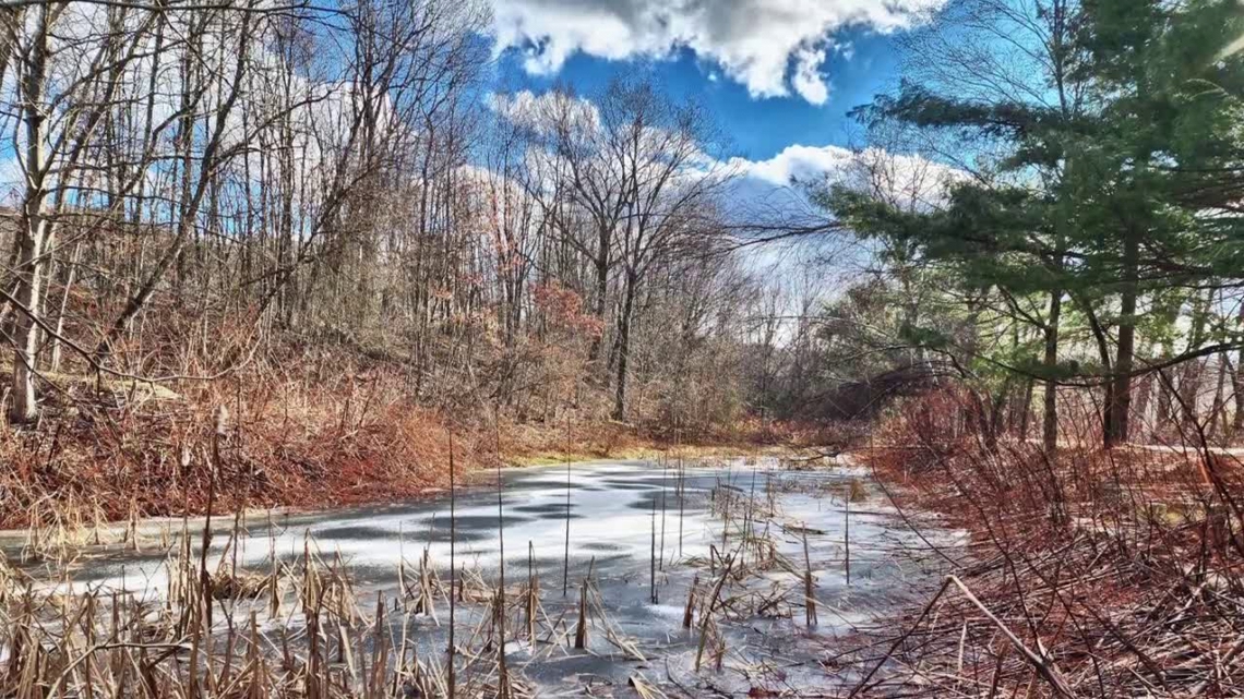 Good things in life | PhotoLink Library | wnep.com