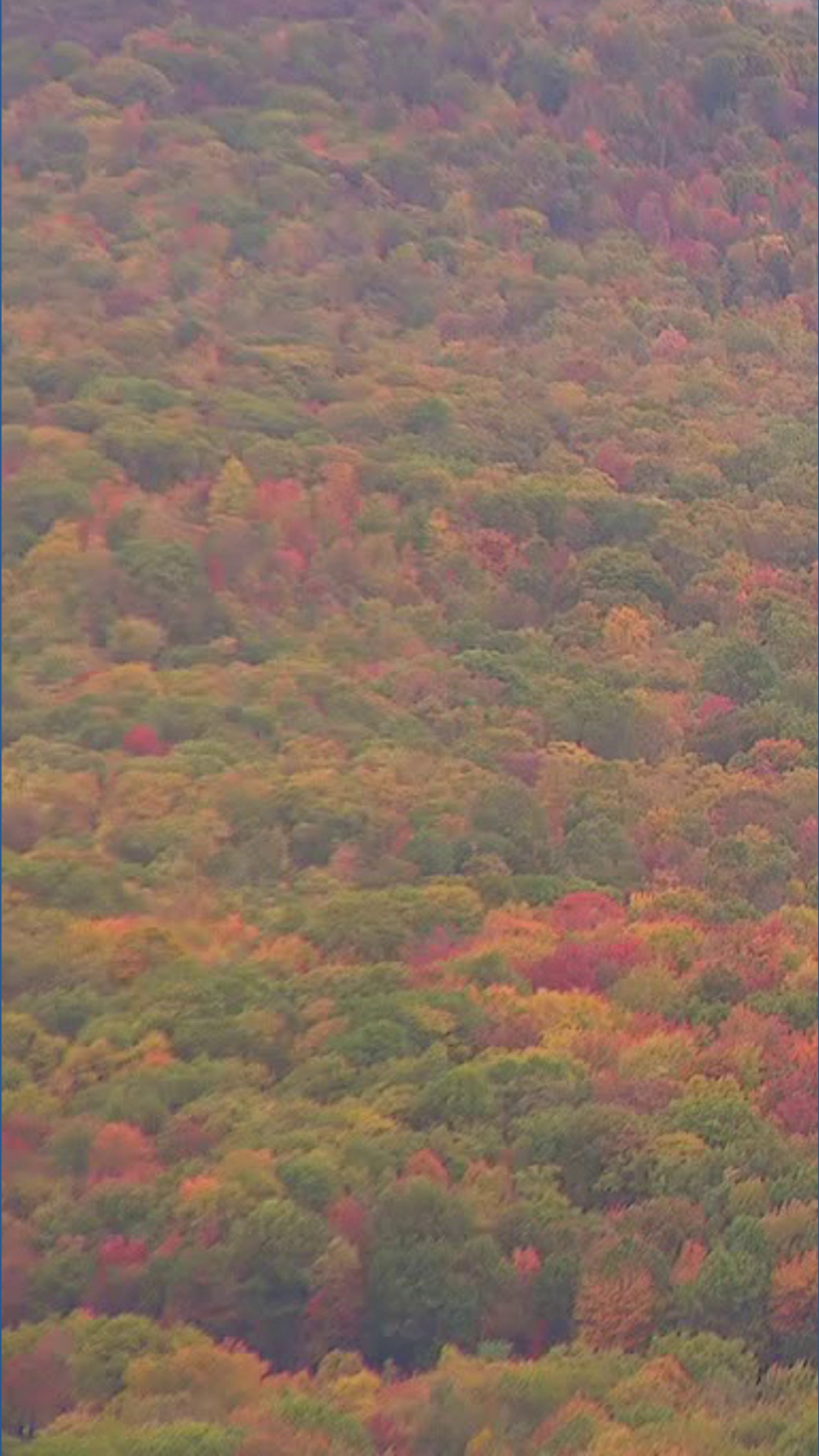 Fall Foliage Map | When and where to see the best fall colors | wnep.com