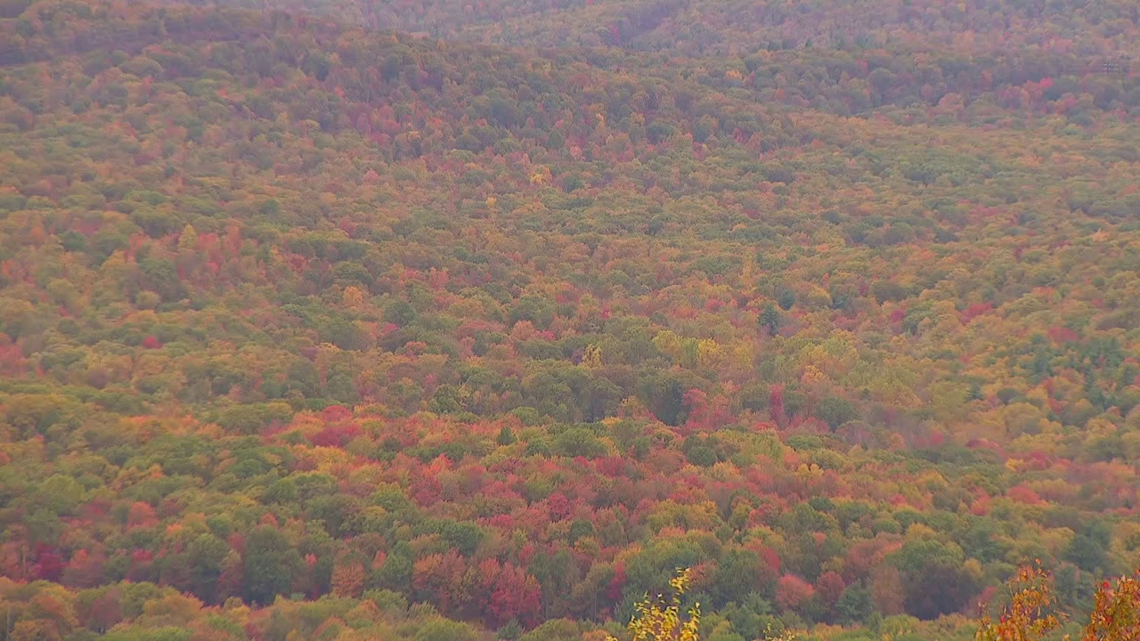 Fall Foliage Map | When and where to see the best fall colors | wnep.com
