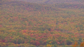 Fall Foliage Map | When and where to see the best fall colors | wnep.com