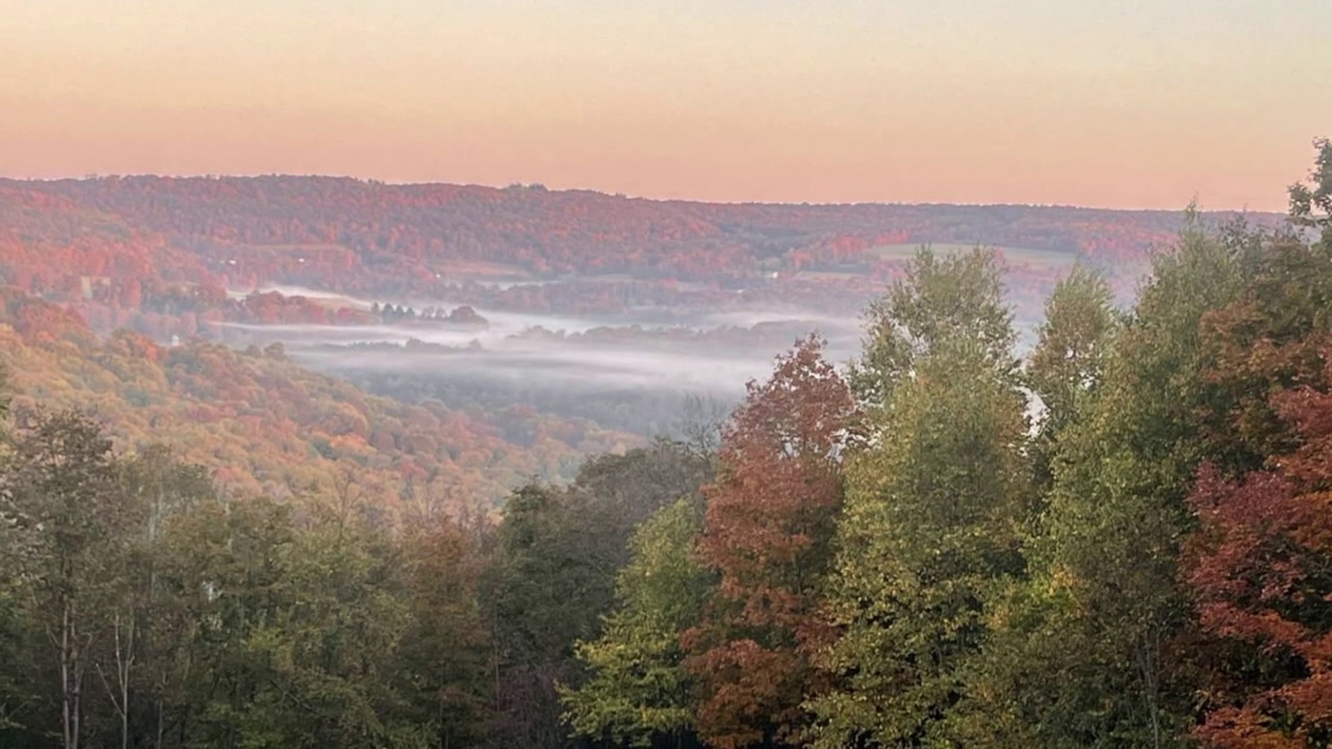 Remnants of seasons past | PhotoLink Library | wnep.com