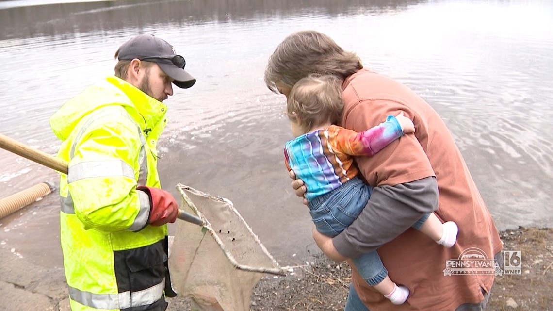 Wayne County Trout Stocking | wnep.com