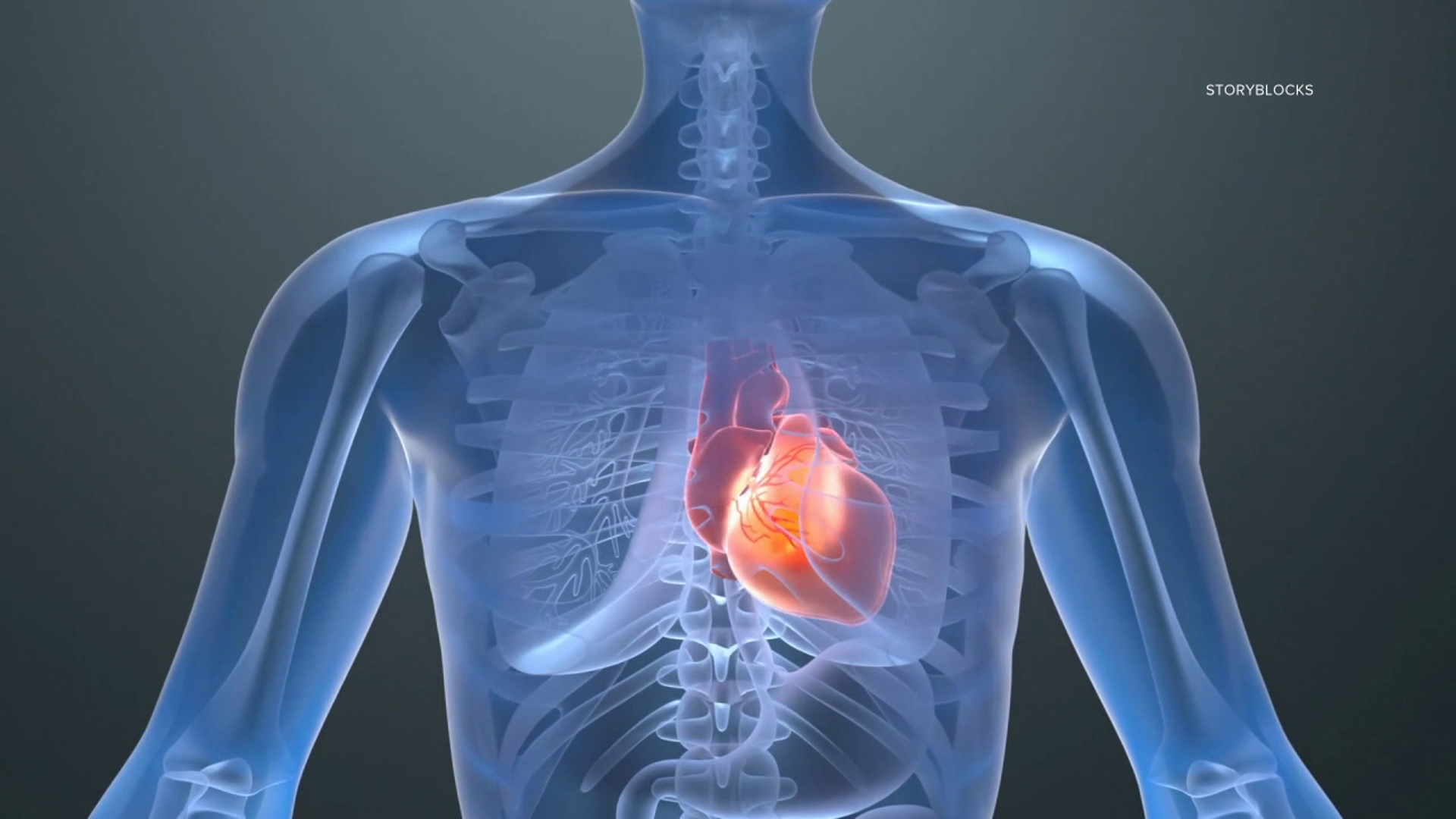 Doctor discusses importance of organ donation | Healthwatch 16 | wnep.com