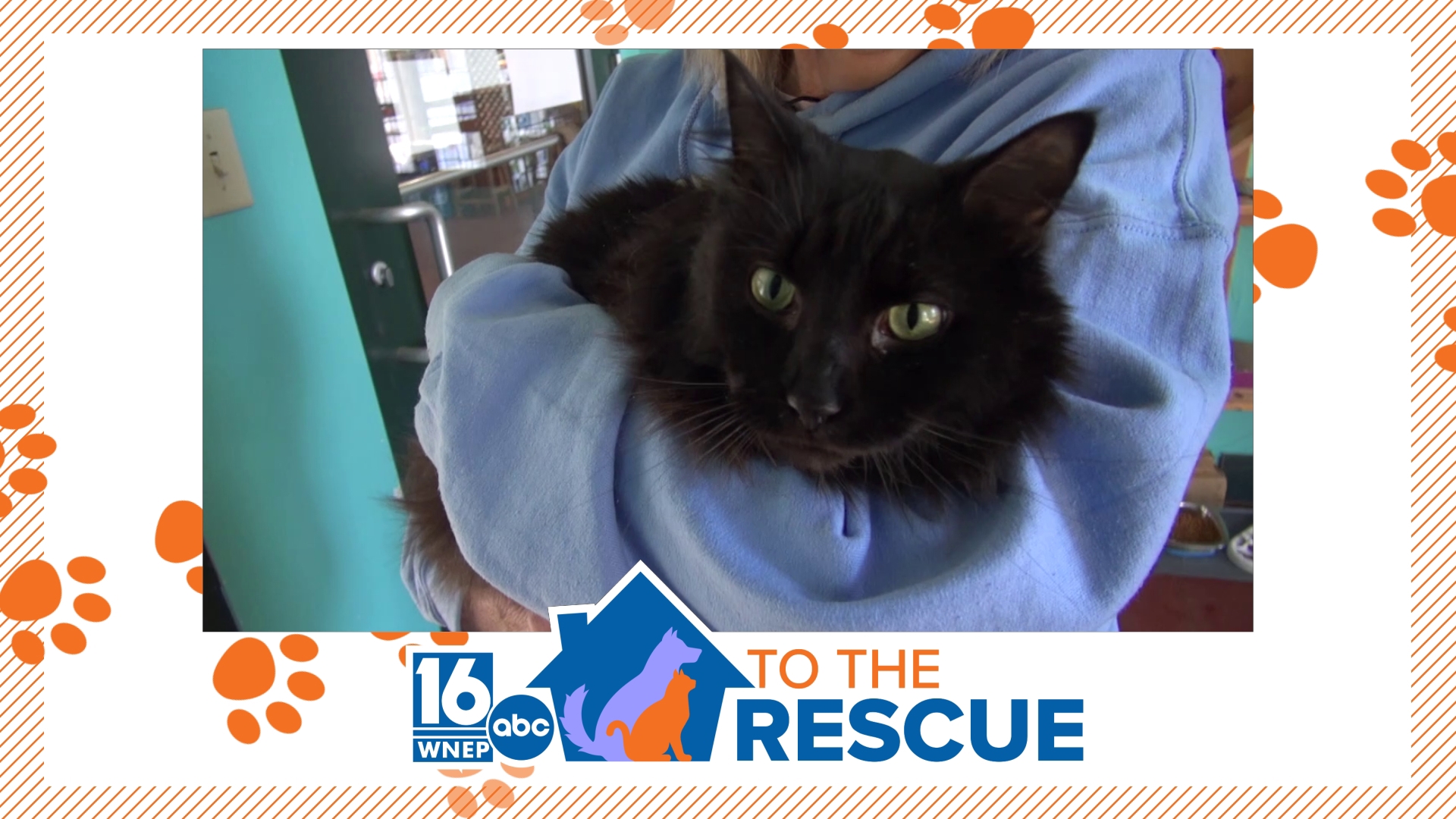 16 To The Rescue: True Friends' Midnight | wnep.com
