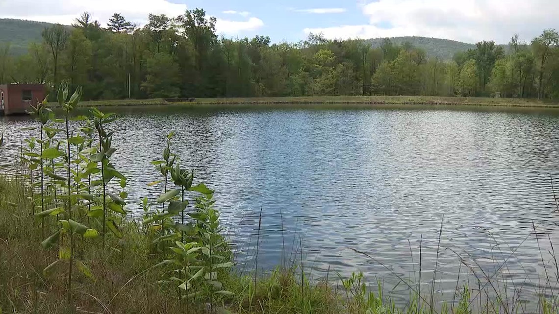 Dry summer not a problem in Lycoming County | wnep.com