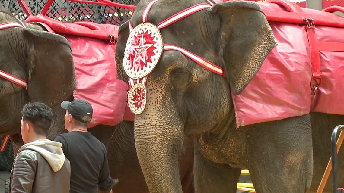 Irem Shrine Circus returns after two-year layoff | wnep.com