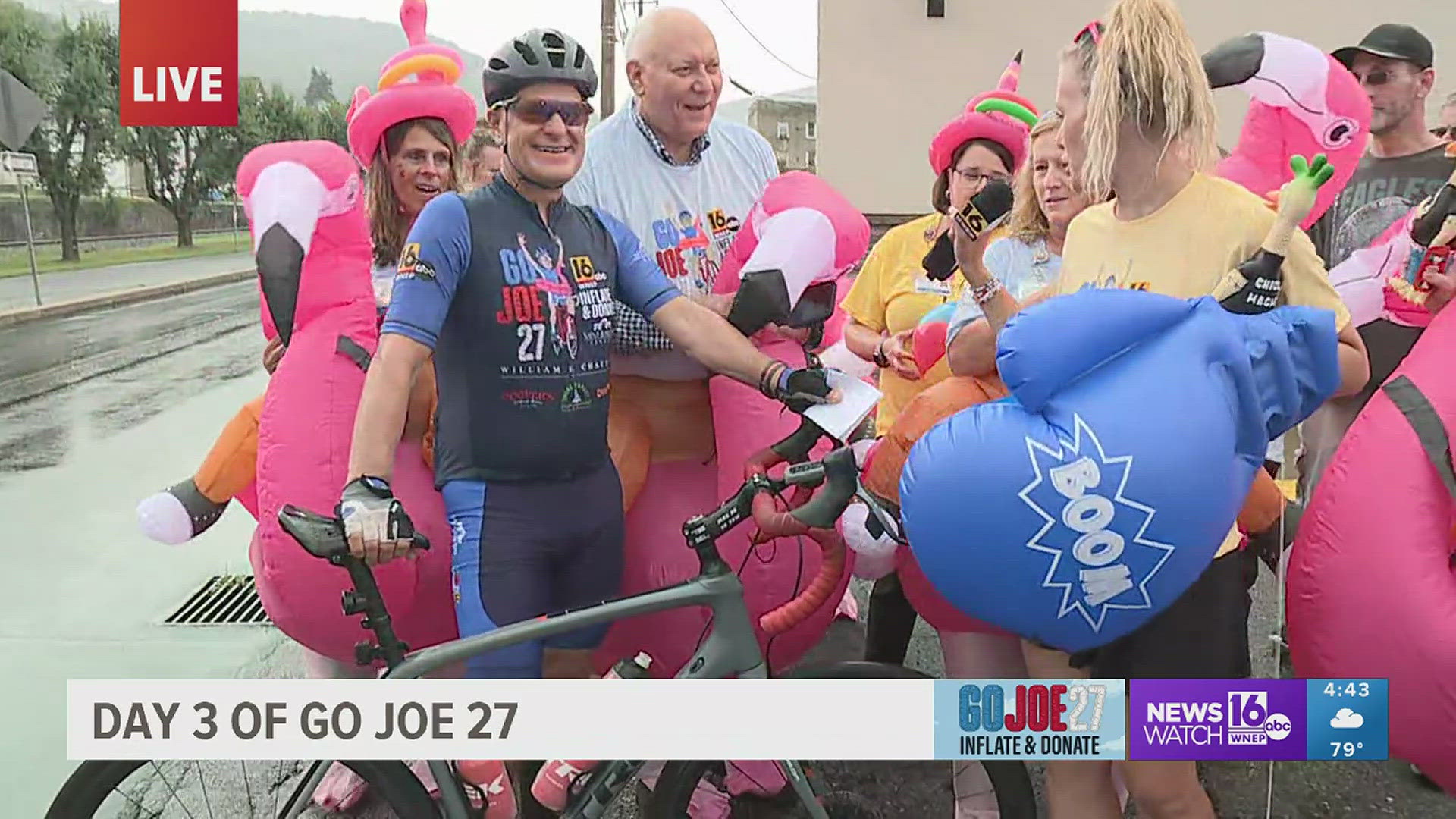 Joe is greeted by a flock of flamingos in Tamaqua during Go Joe 27 ...