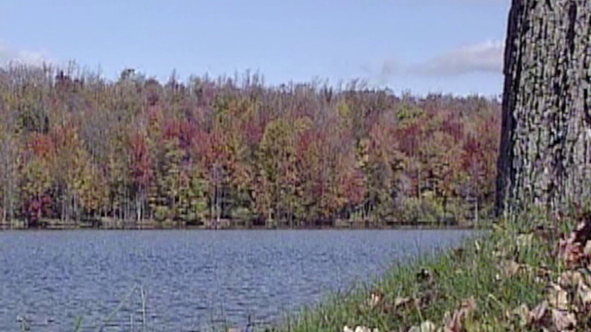Autumn in Wayne County | Back Down The Pennsylvania Road | wnep.com