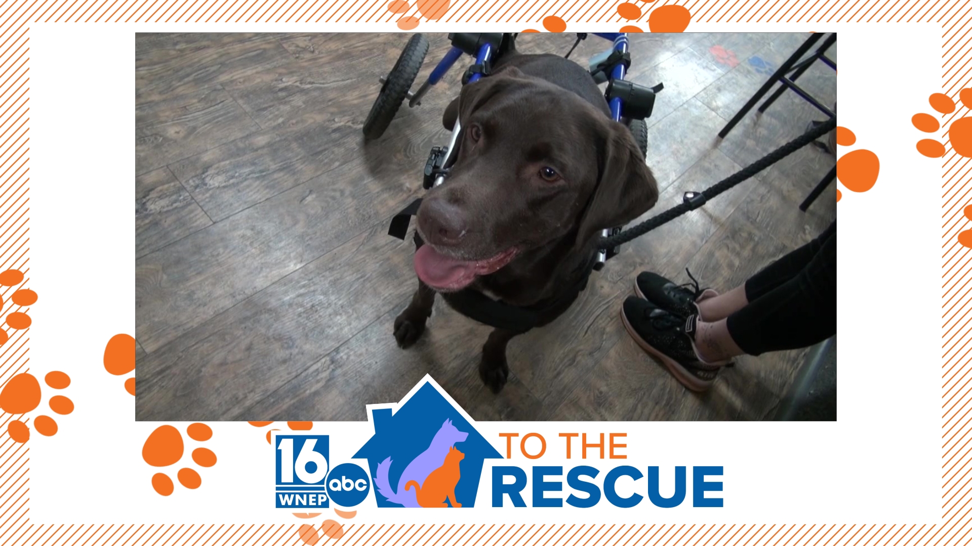 16 To The Rescue: Sage | wnep.com