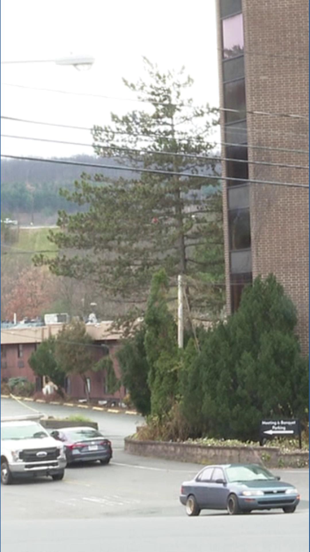 The Woodlands closed until further notice | wnep.com