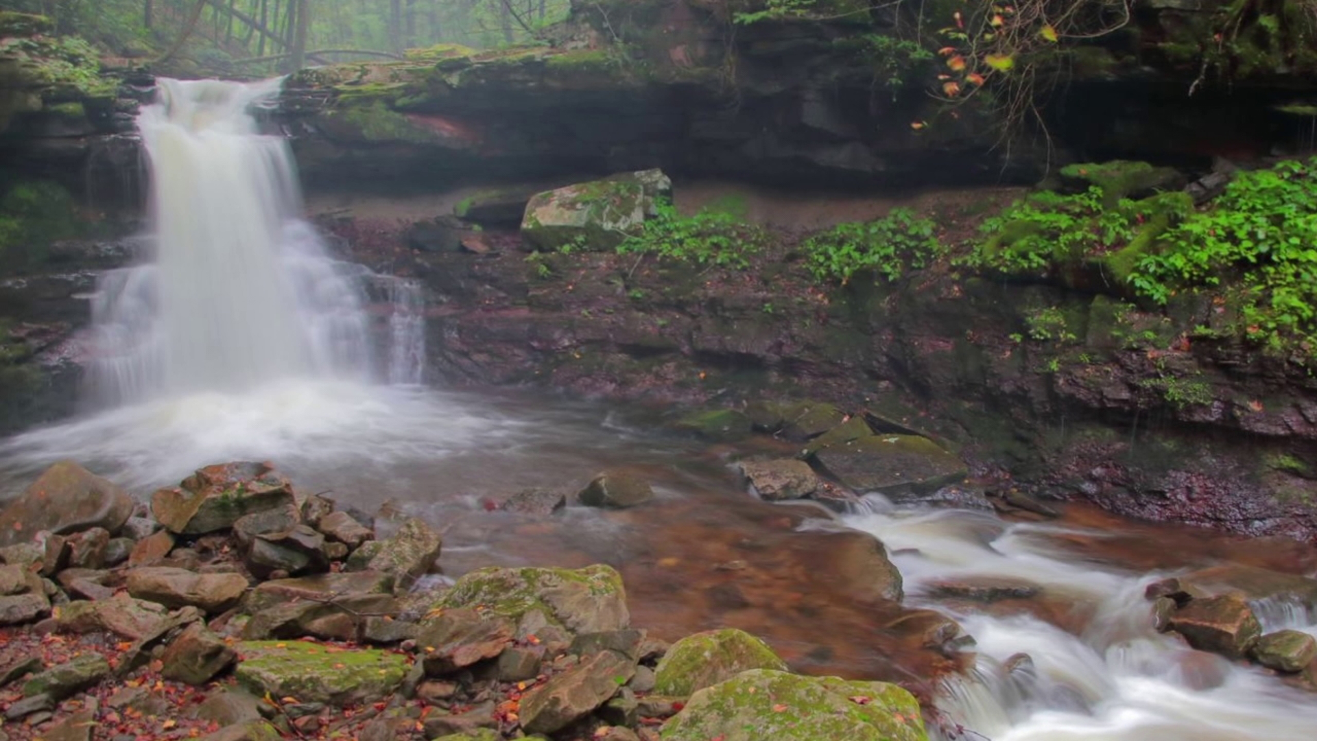 Quiet moments of beauty | PhotoLink Library | wnep.com